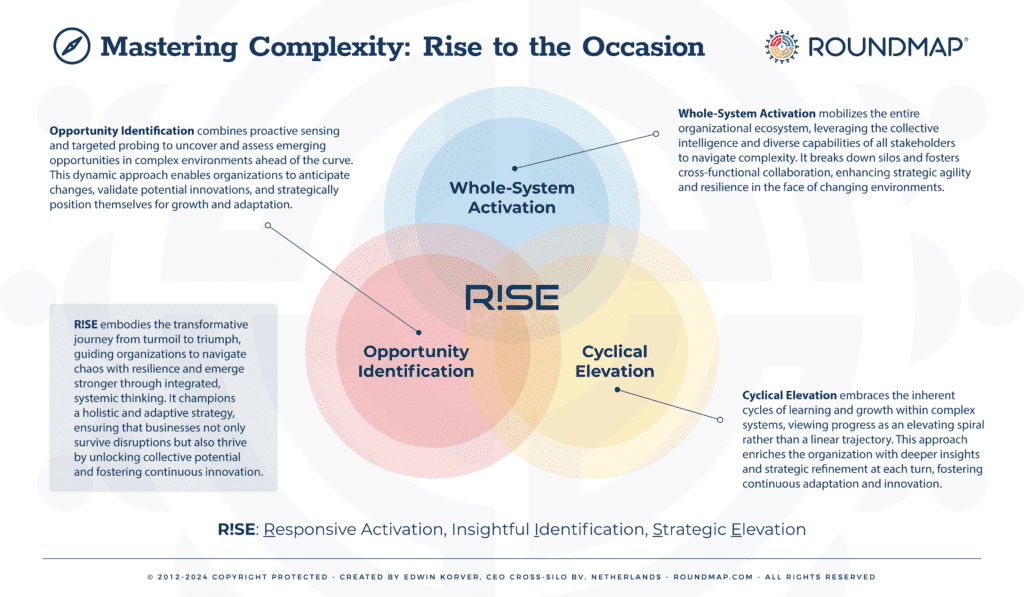RISE to the Occasion: Navigating Complexity with Strategic Agility and ...