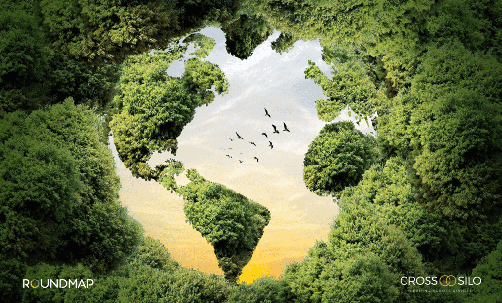 Cómo las redes de valor compartido están transformando las cadenas de ...